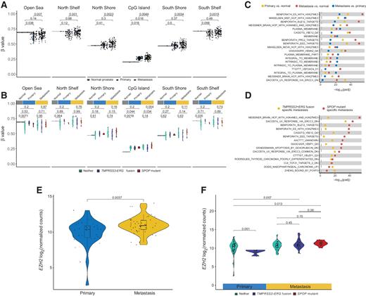 Dna Methylation Landscapes Of Prostate Cancer Brain Metastasis Are