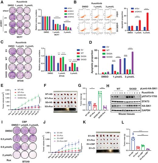 AKT Blocks SIK1-Mediated Repression of STAT3 to Promote Breast ...