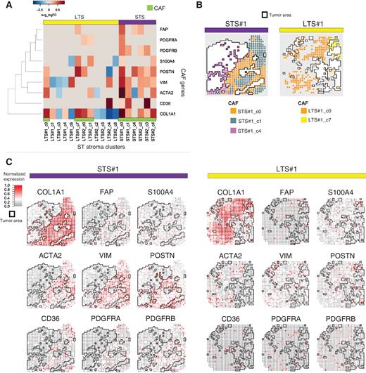 Spatial Transcriptomics Depict Ligand–Receptor Cross-talk Heterogeneity ...