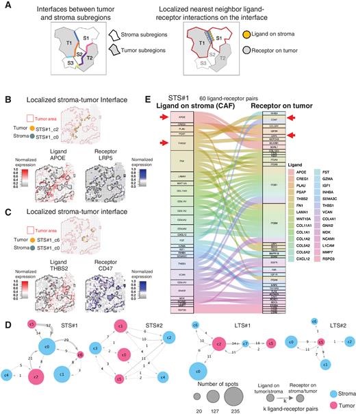 Spatial Transcriptomics Depict Ligand–Receptor Cross-talk Heterogeneity ...