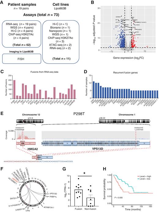Enhancer Coamplification and Hijacking Promote Oncogene Expression in ...