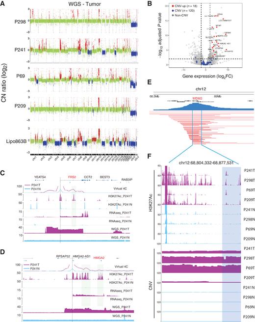 Enhancer Coamplification and Hijacking Promote Oncogene Expression in ...
