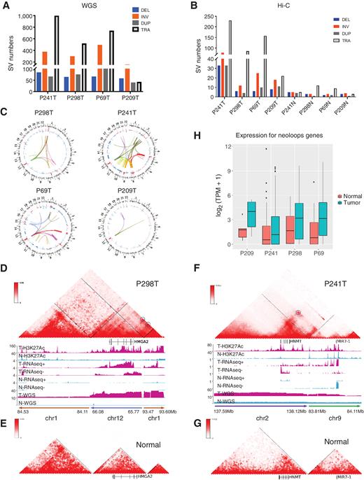 Enhancer Coamplification and Hijacking Promote Oncogene Expression in ...
