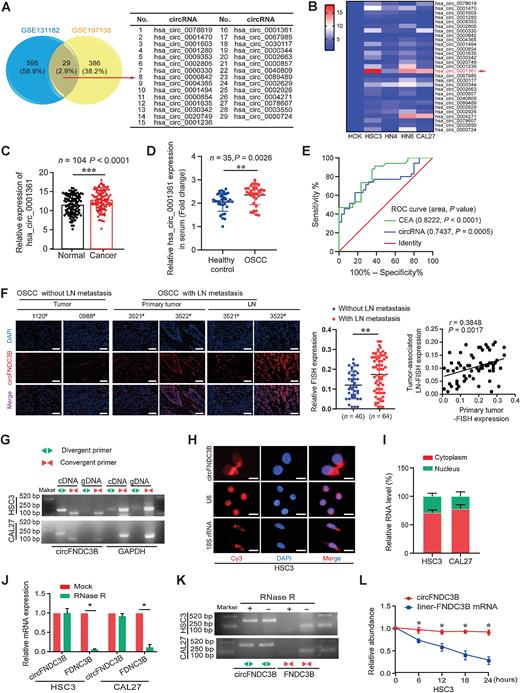 circFNDC3B Accelerates Vasculature Formation and Metastasis in Oral ...