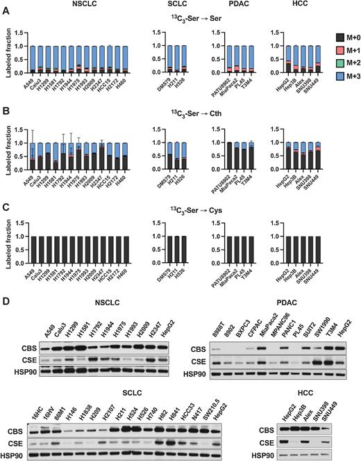 Comprehensive Metabolic Tracing Reveals the Origin and Catabolism of ...