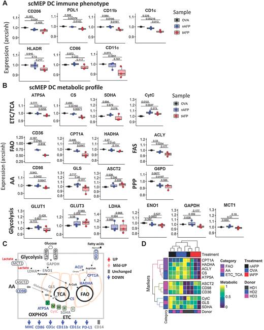 Polyunsaturated Fatty Acid–Bound α-Fetoprotein Promotes Immune ...