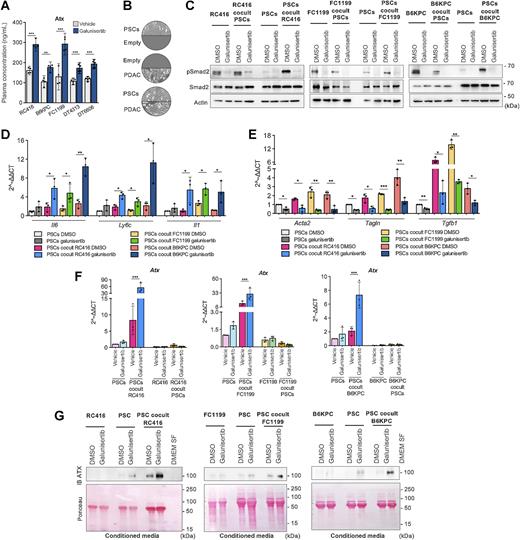 Autotaxin Secretion Is a Stromal Mechanism of Adaptive Resistance to ...