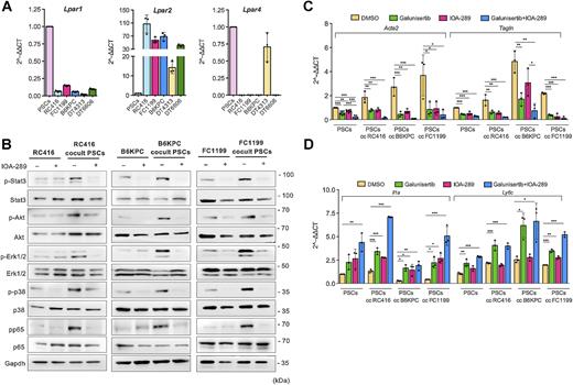 Autotaxin Secretion Is a Stromal Mechanism of Adaptive Resistance to ...
