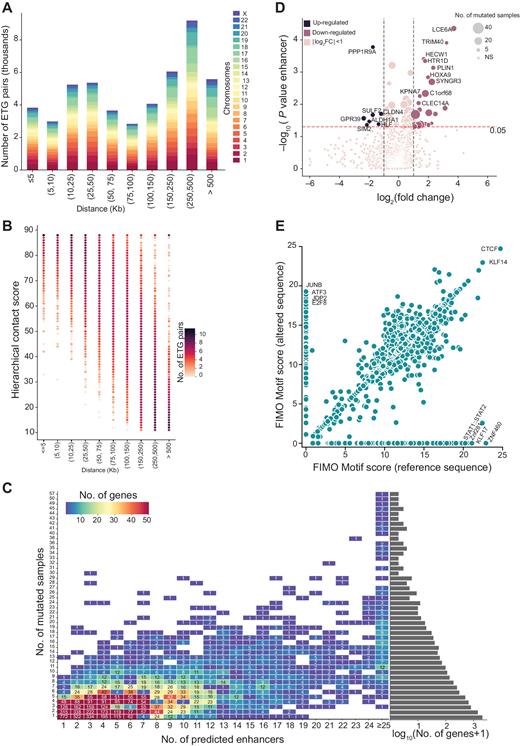 Leveraging Tissue-Specific Enhancer–Target Gene Regulatory Networks ...