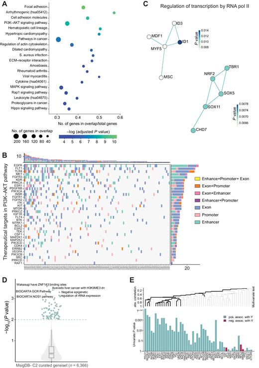 Leveraging Tissue-Specific Enhancer–Target Gene Regulatory Networks ...