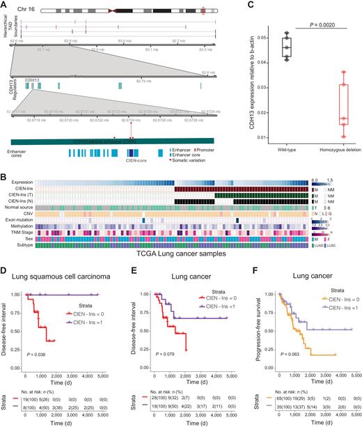 Leveraging Tissue-Specific Enhancer–Target Gene Regulatory Networks ...