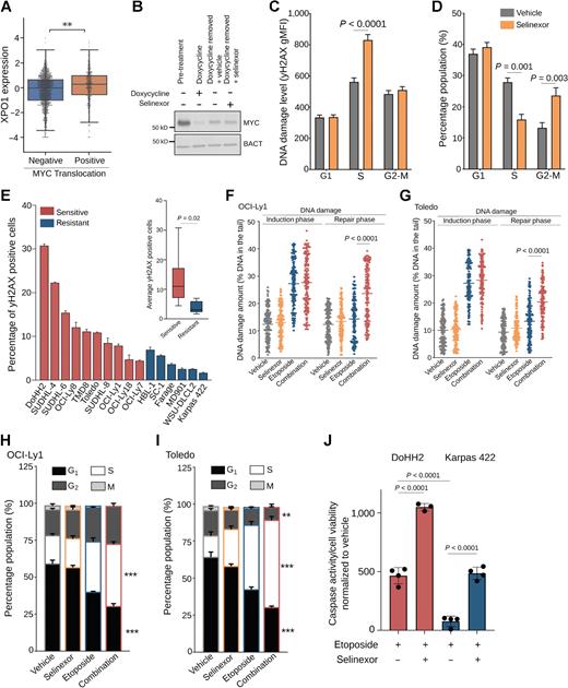 XPO1 Enables Adaptive Regulation of mRNA Export Required for Genotoxic ...
