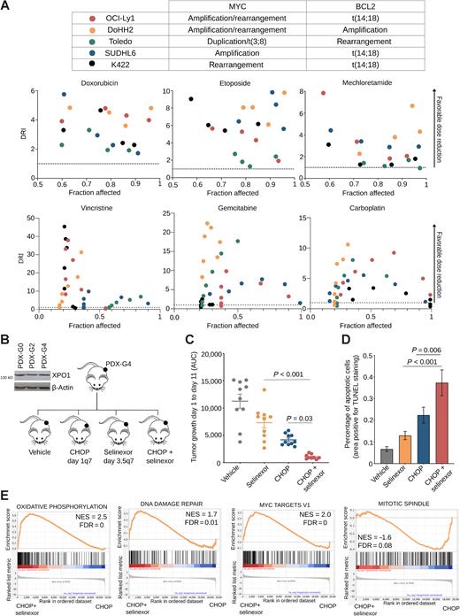 XPO1 Enables Adaptive Regulation of mRNA Export Required for Genotoxic ...