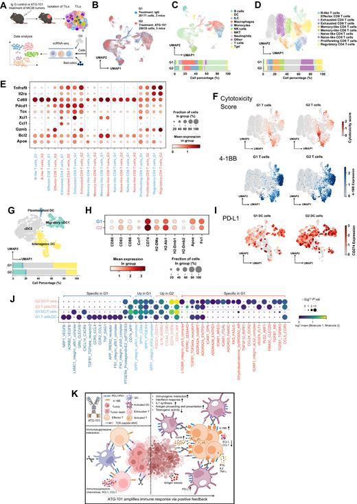 ATG-101 Is a Tetravalent PD-L1×4-1BB Bispecific Antibody That ...