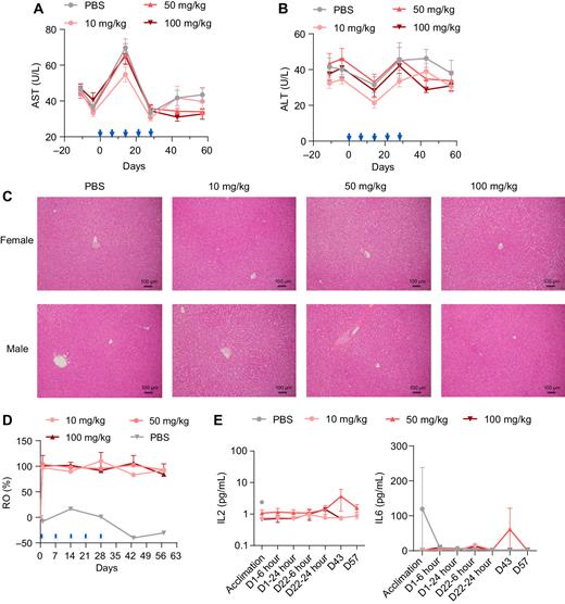 ATG-101 Is a Tetravalent PD-L1×4-1BB Bispecific Antibody That ...