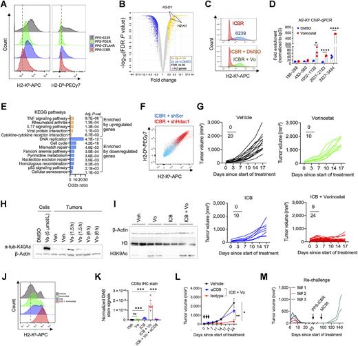 Ketogenic Diet Alters the Epigenetic and Immune Landscape of Prostate ...