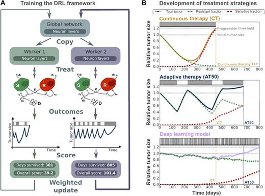 Mathematical Model-Driven Deep Learning Enables Personalized Adaptive Therapy | Cancer Research ...