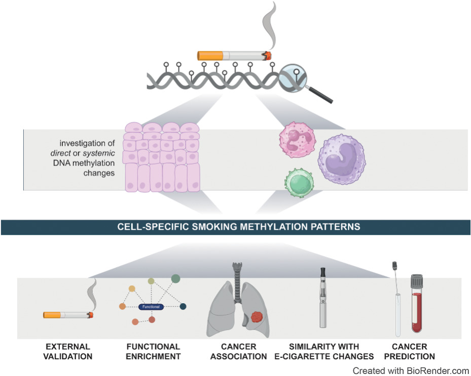 Cigarette Smoking and E-cigarette Use Induce Shared DNA Methylation ...