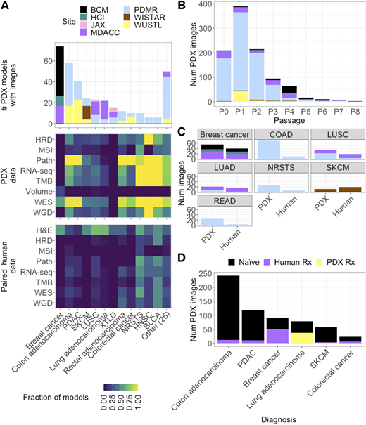 A Pan-Cancer Patient-Derived Xenograft Histology Image Repository with ...