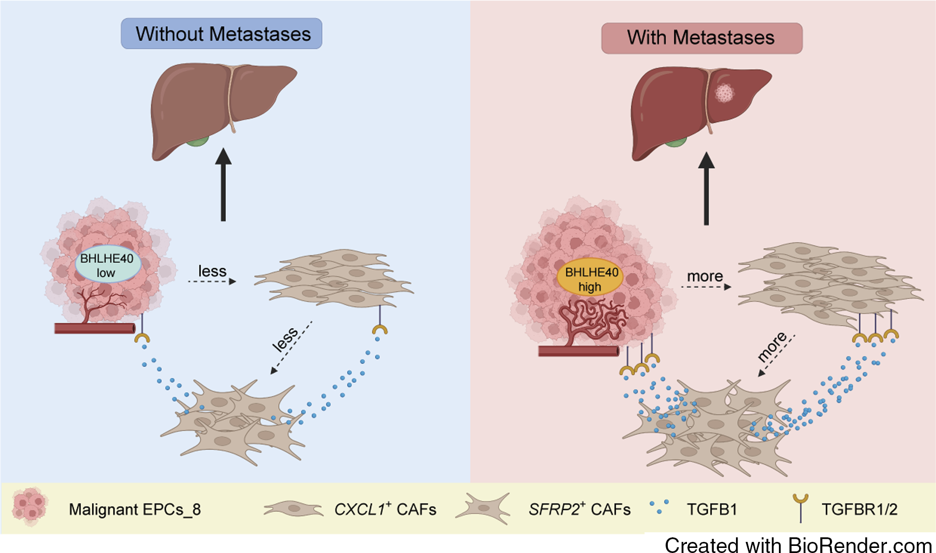Single-Cell and Spatial Transcriptome Profiling Identifies the ...