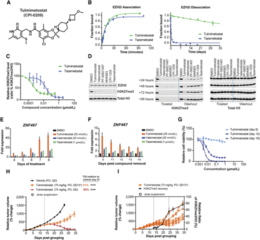Comprehensive Target Engagement by the EZH2 Inhibitor Tulmimetostat ...
