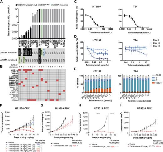 Comprehensive Target Engagement by the EZH2 Inhibitor Tulmimetostat ...