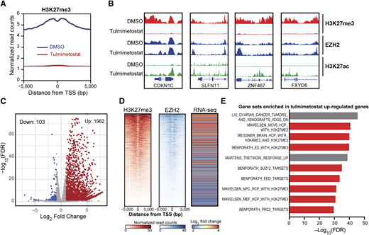 Comprehensive Target Engagement by the EZH2 Inhibitor Tulmimetostat ...