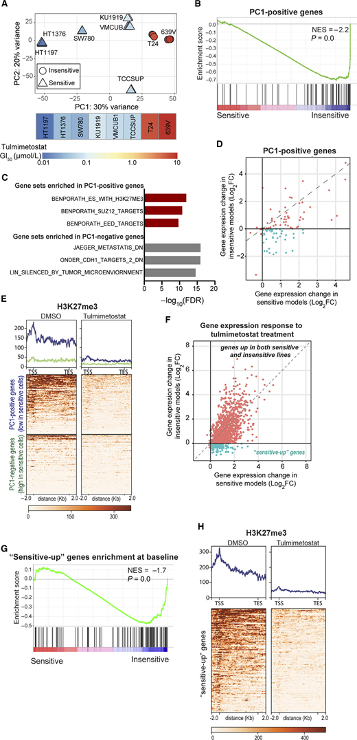 Comprehensive Target Engagement by the EZH2 Inhibitor Tulmimetostat ...