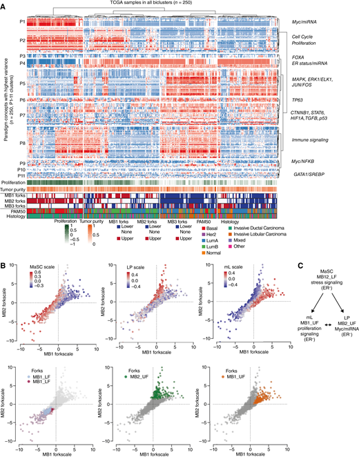 Multistate Gene Cluster Switches Determine the Adaptive Mitochondrial ...