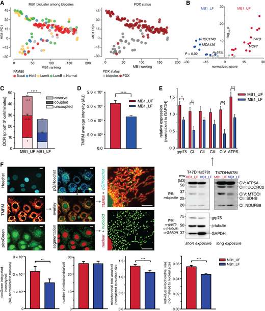 Multistate Gene Cluster Switches Determine the Adaptive Mitochondrial ...