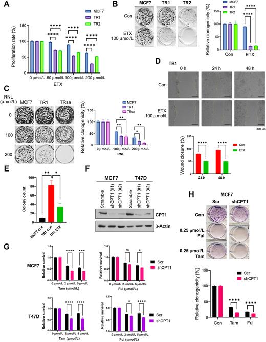 Metabolomic Rewiring Promotes Endocrine Therapy Resistance in Breast ...