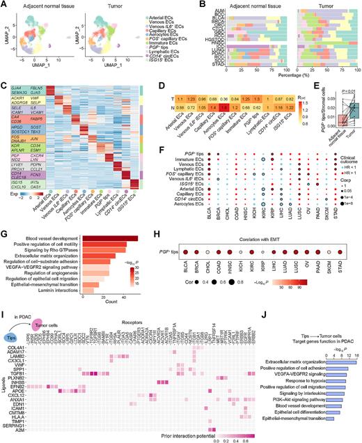 Integration of Pan-Cancer Single-Cell and Spatial Transcriptomics ...