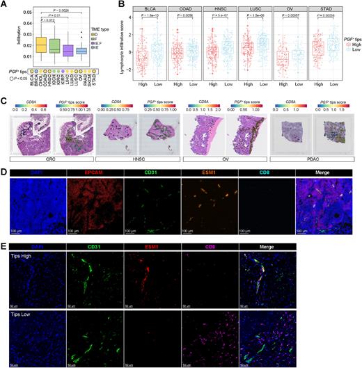 Integration of Pan-Cancer Single-Cell and Spatial Transcriptomics ...