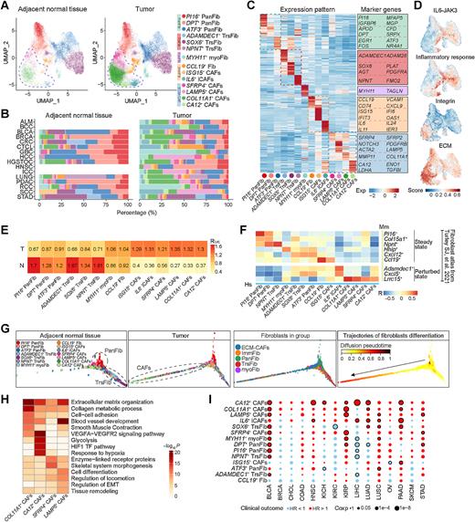 Integration of Pan-Cancer Single-Cell and Spatial Transcriptomics ...