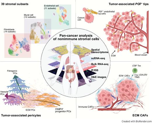 Integration of Pan-Cancer Single-Cell and Spatial Transcriptomics Reveals Stromal Cell Features ...