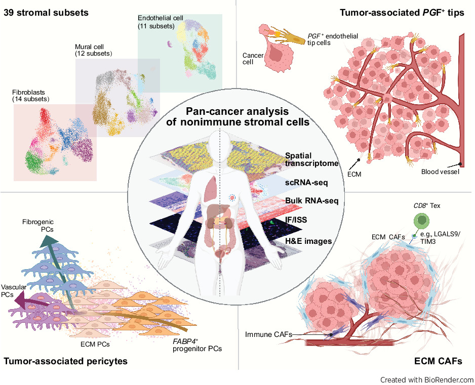 Integration of Pan-Cancer Single-Cell and Spatial Transcriptomics ...