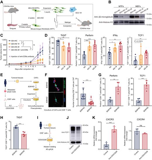 Spatial and Single-Cell Transcriptomics Reveal a Cancer-Associated ...