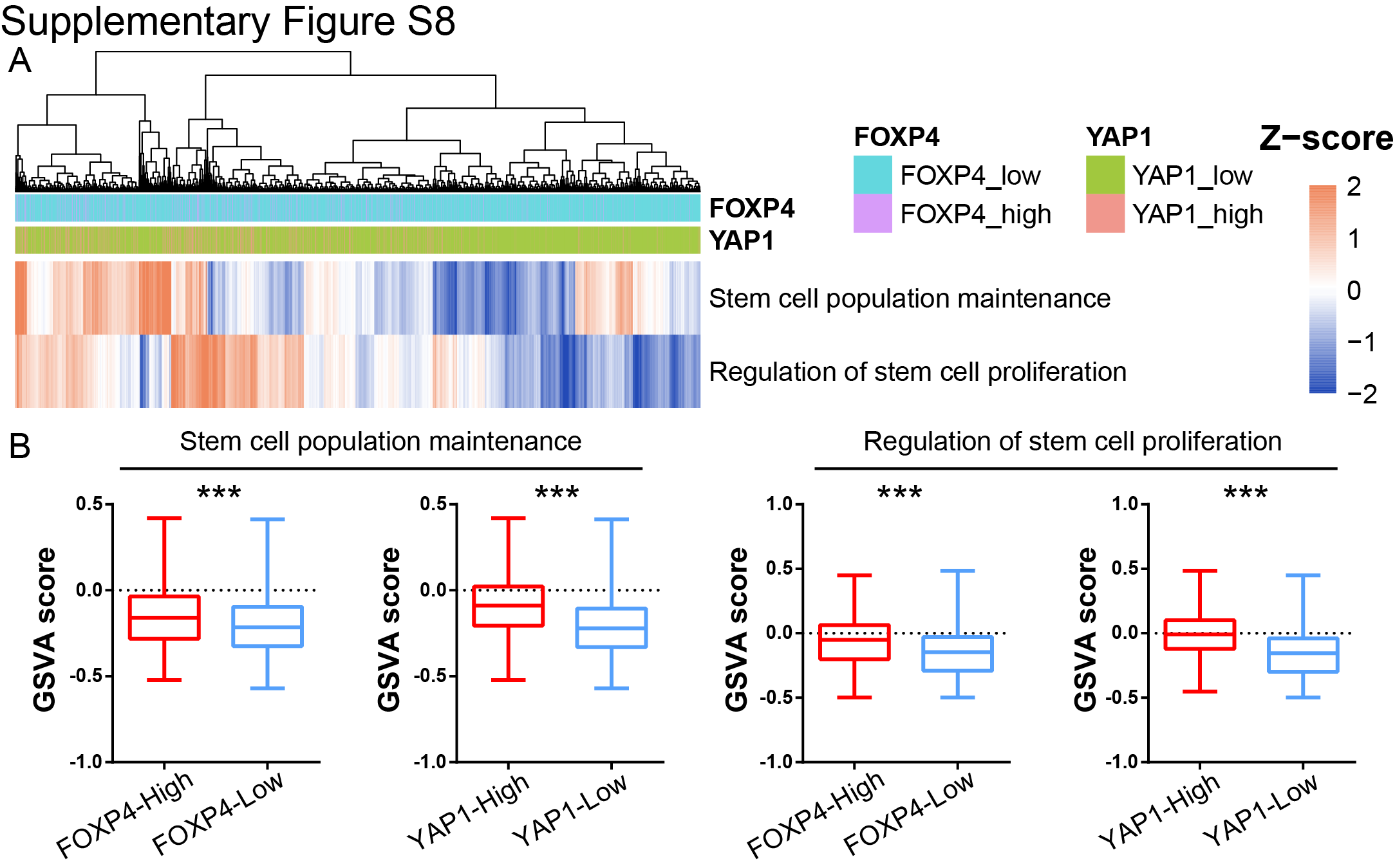 FOXP4 Is a Direct YAP1 Target That Promotes Gastric Cancer Stemness and ...