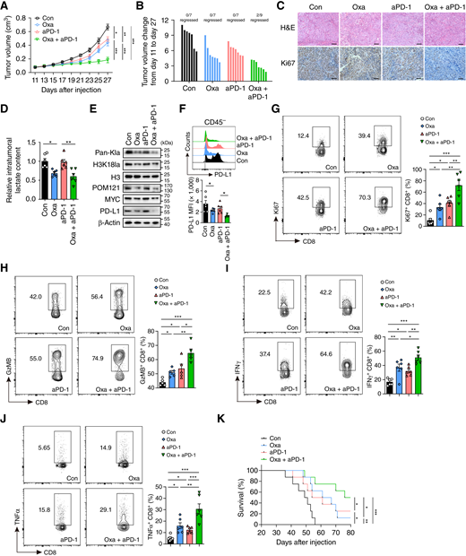 H3K18 Lactylation Potentiates Immune Escape of Non–Small Cell Lung ...