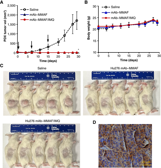 A Dual-Payload Antibody–Drug Conjugate Targeting CD276/B7-H3 Elicits ...