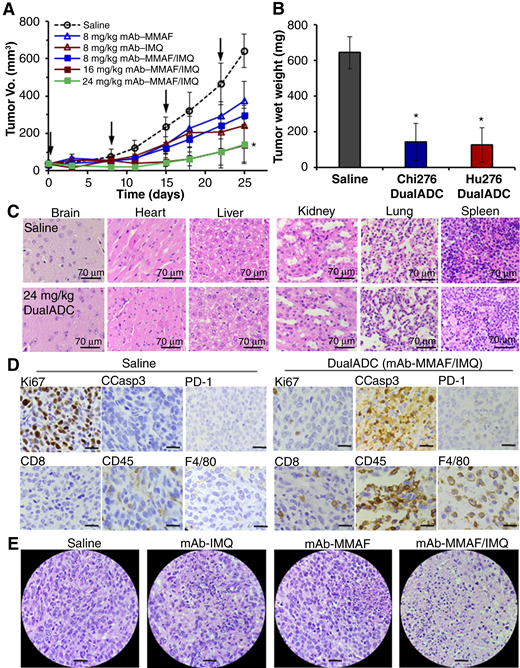 A Dual-Payload Antibody–Drug Conjugate Targeting CD276/B7-H3 Elicits ...