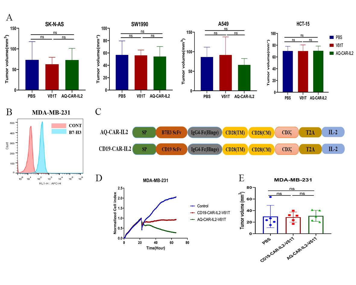 B7-H3–Targeted CAR-Vδ1T Cells Exhibit Potent Broad-Spectrum Activity ...