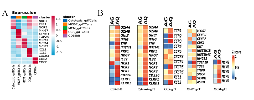 B7-H3–Targeted CAR-Vδ1T Cells Exhibit Potent Broad-Spectrum Activity ...