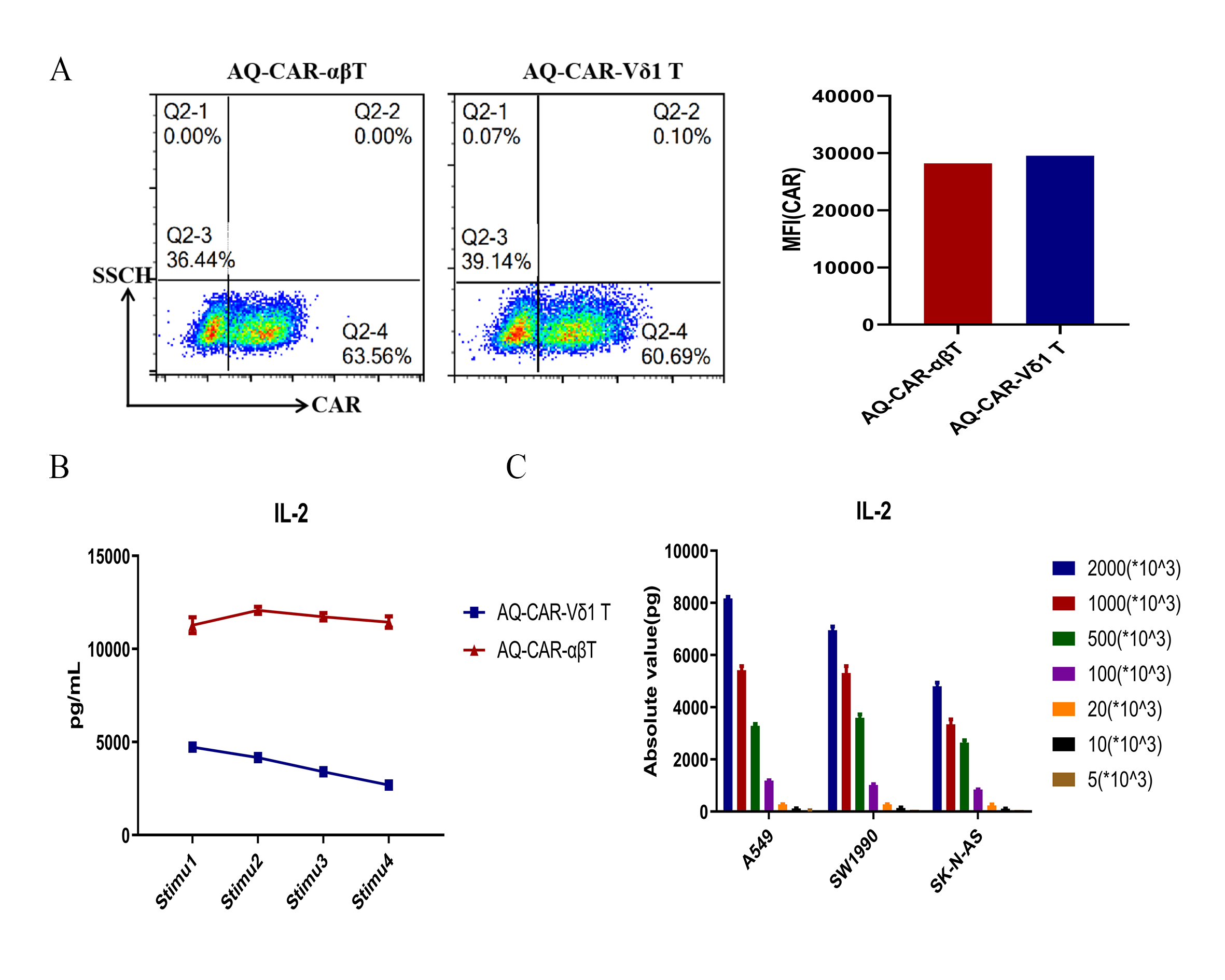 B7-H3–Targeted CAR-Vδ1T Cells Exhibit Potent Broad-Spectrum Activity ...