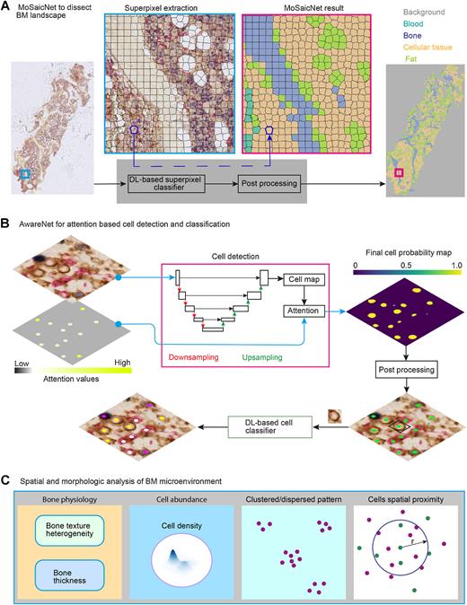 Deep Learning Enables Spatial Mapping of the Mosaic Microenvironment of ...