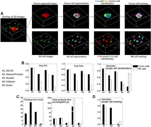 Deep Learning–Based 3D Single-Cell Imaging Analysis Pipeline Enables ...