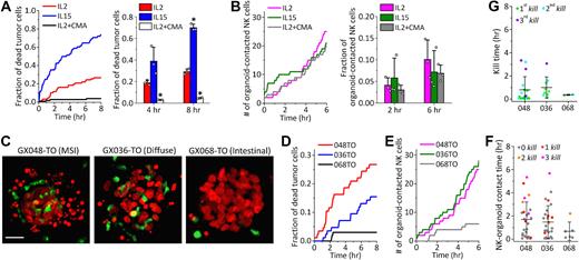 Deep Learning–Based 3D Single-Cell Imaging Analysis Pipeline Enables ...