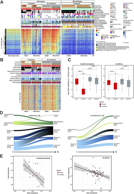 The Epigenetic Evolution of Glioma Is Determined by the IDH1 Mutation ...