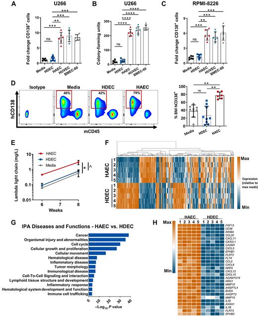 Inhibition of Ephrin B2 Reverse Signaling Abolishes Multiple Myeloma ...