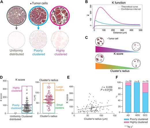 Integrating AI-Powered Digital Pathology and Imaging Mass Cytometry ...